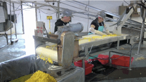 Food Processing Engineering - Engineering Academy